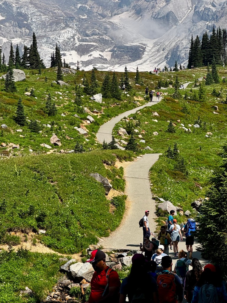 Mount Rainier – Paradise Area – Show me the Trail